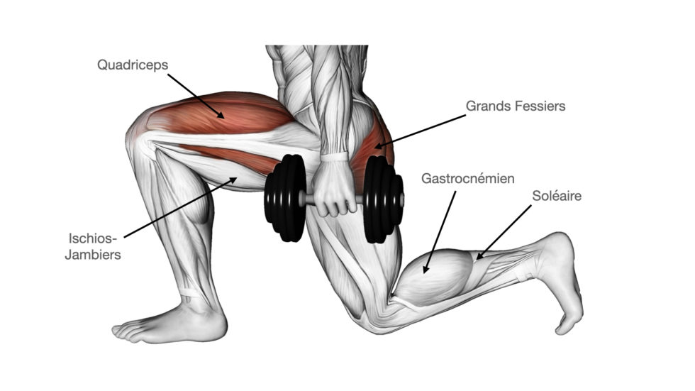 Les Fentes - Muscu Street et Crossfit