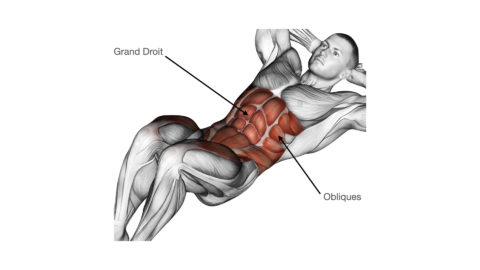 Le Crunch - Muscu Street et Crossfit