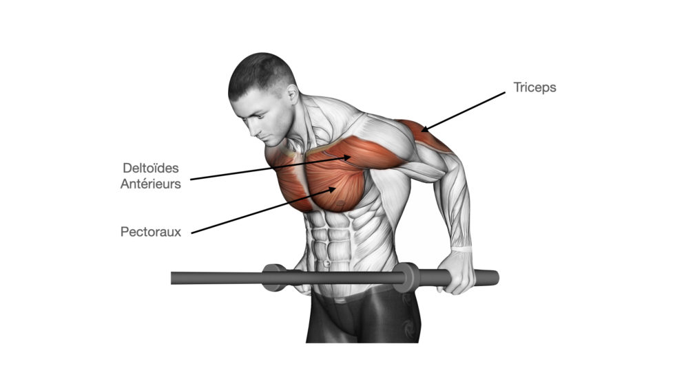 Les Dips - Muscu Street et Crossfit