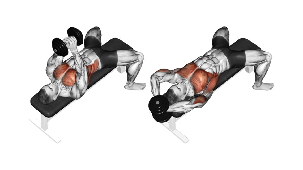 Le Pull Over - Muscu Street et Crossfit