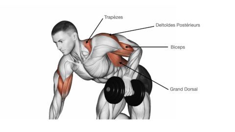 Tirage Bûcheron - Muscu Street et Crossfit