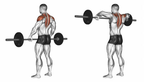 Le Rowing Menton - Muscu Street et Crossfit