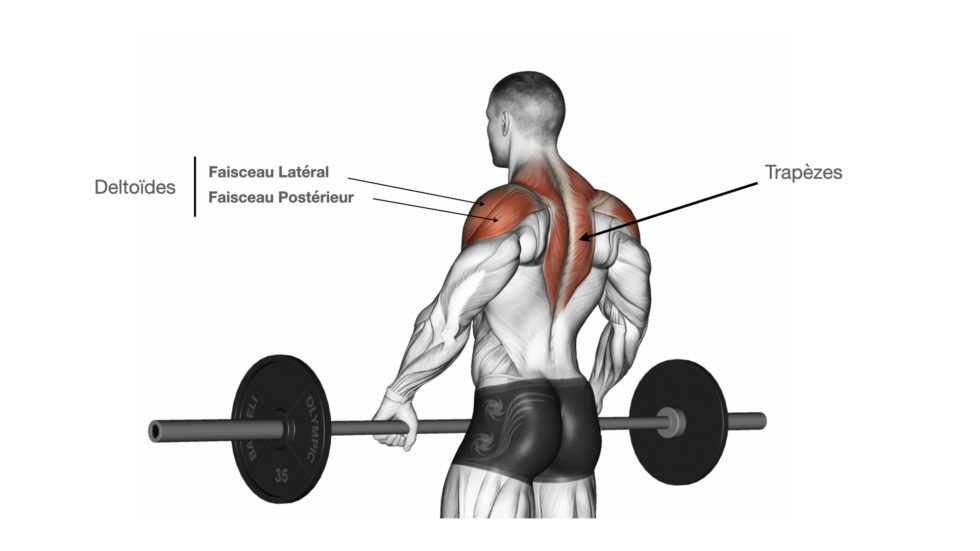 Le Rowing Menton - Muscu Street et Crossfit