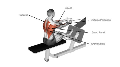 Le Tirage Horizontal - Muscu Street et Crossfit