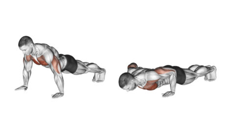 Pompes - Muscu Street et Crossfit