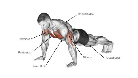 Pompes - Muscu Street et Crossfit