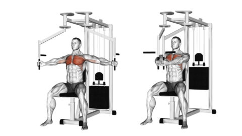 Butterfly - Muscu Street et Crossfit
