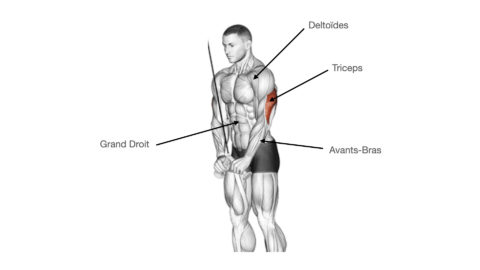 Extension Triceps Poulie Haute - Muscu Street et Crossfit