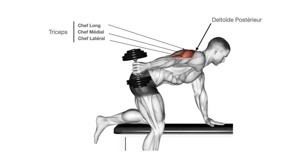 Le Kick Back - Muscu Street et Crossfit