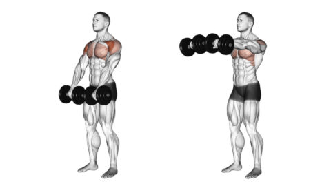 Élévations frontales - Muscu Street et Crossfit