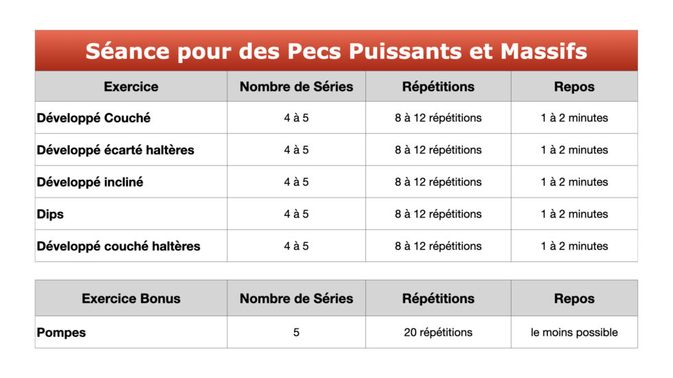 Séance Musculation #5 - Obtenez des pecs puissants et massifs