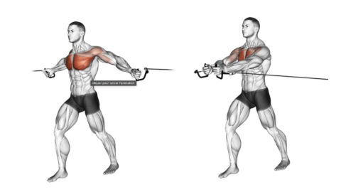 Les écartés poulies vis à vis debout - Muscu Street et Crossfit