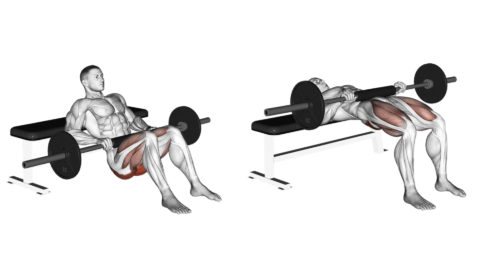 Le Hip Thrust - Muscu Street et Crossfit