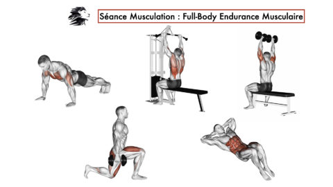 Une Séance Full-Body pour améliorer votre endurance musculaire