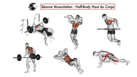 Séance Musculation #6 - Half-Body Haut du corps