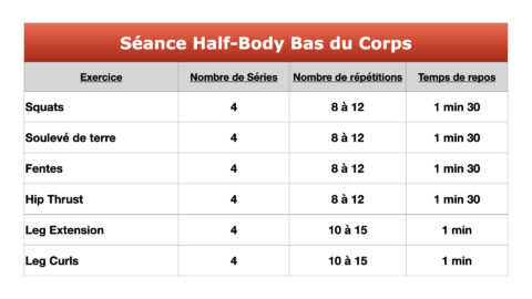 Séance Musculation #8 - Half-Body Bas du Corps