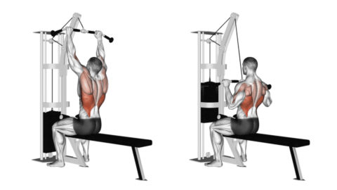 Le Tirage vertical poitrine - Muscu Street et Crossfit