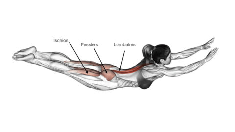 Le gainage superman - Muscu Street et Crossfit