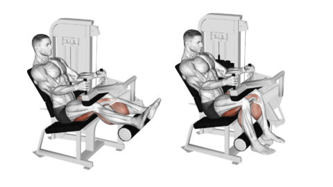 Le leg curl assis - Muscu Street et Crossfit