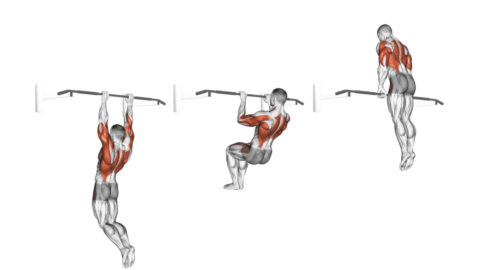 Le Muscle Up - Muscu Street et Crossfit