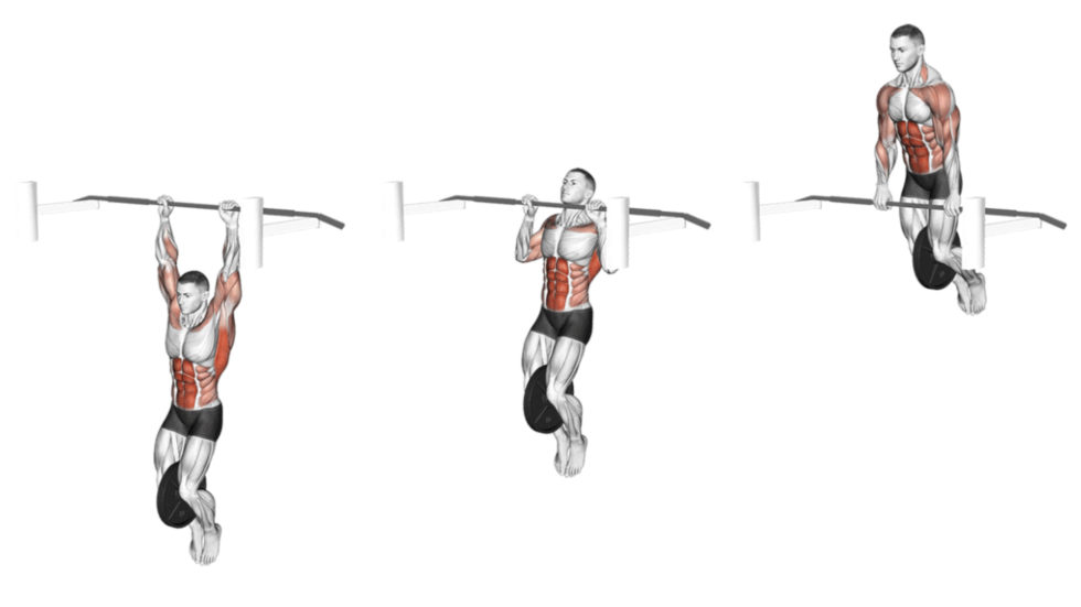 Le Muscle Up - Muscu Street et Crossfit