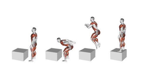 Les Box Jumps - Muscu Street et Crossfit