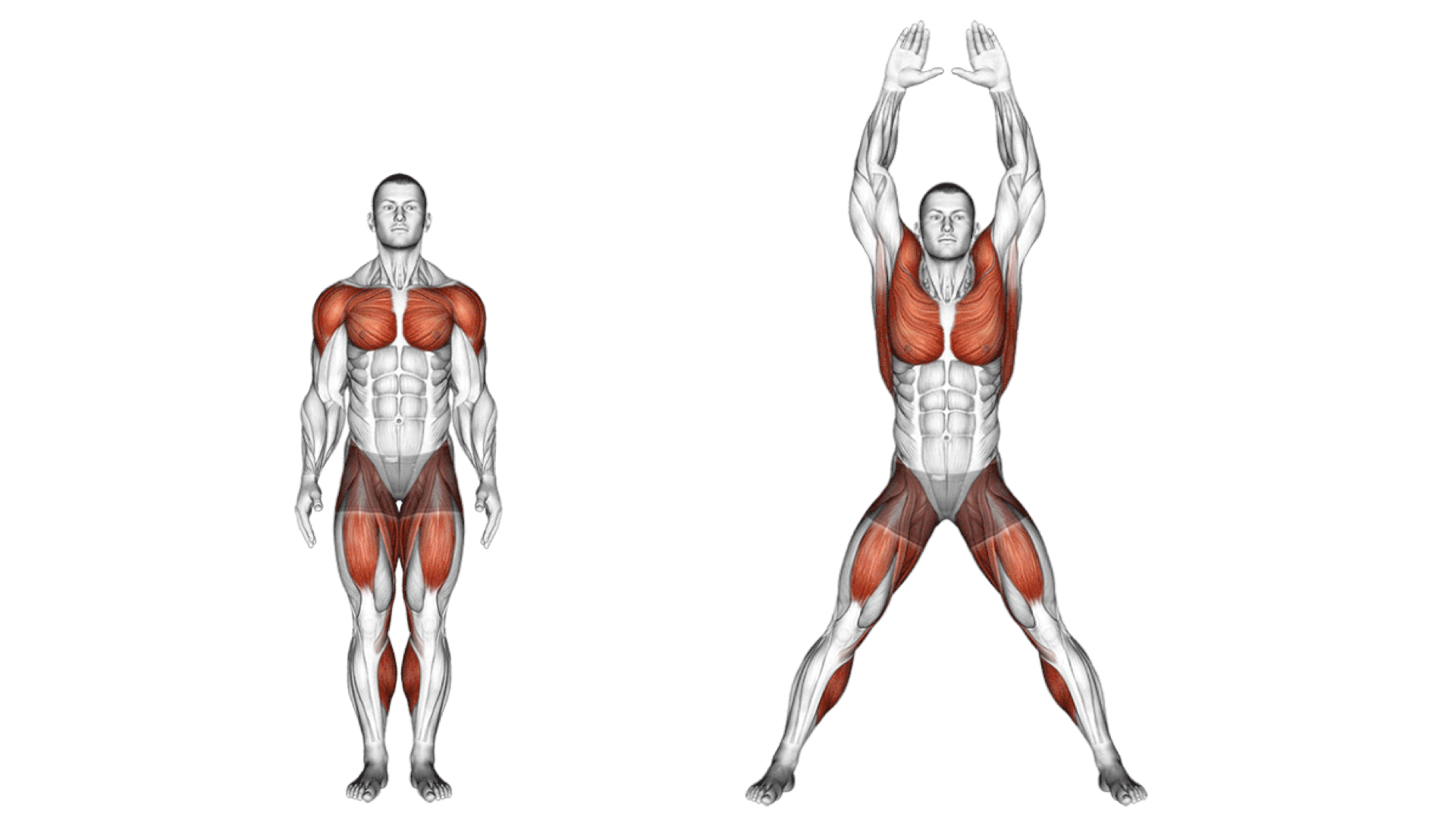 Jumping Jack Que Musculos Trabaja At Alicia Tuckett Blog Jumping Jack Que Musculos Trabaja At Alicia Tuckett Blog