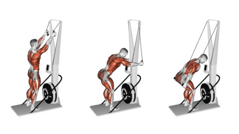 Le SkiErg - Muscu Street et Crossfit
