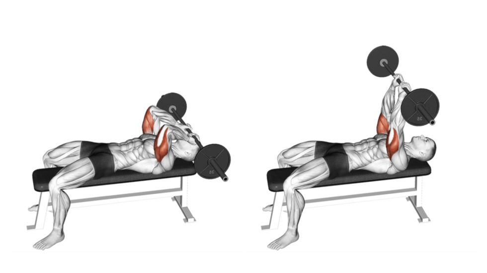 Barre au front - Muscu Street et Crossfit