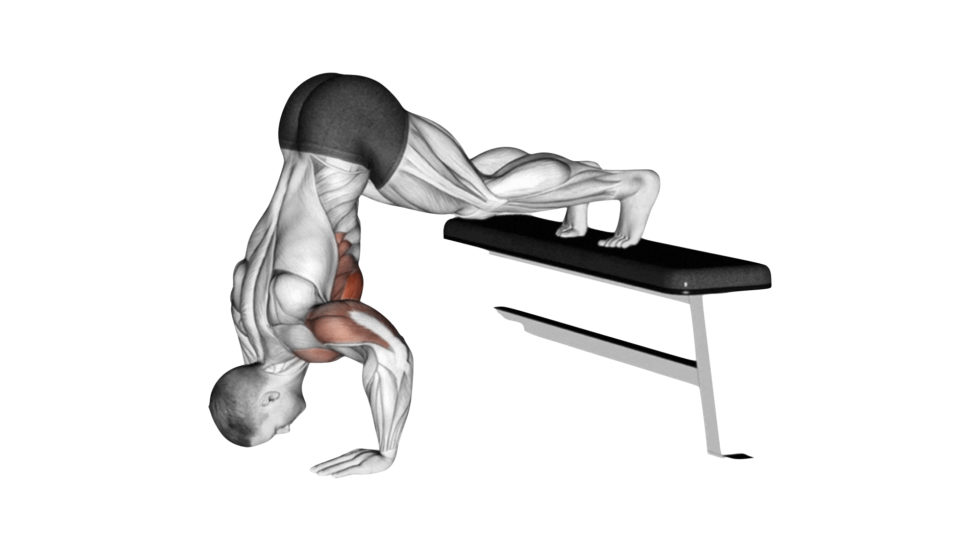 Les pike push-up - Muscu Street et Crossfit