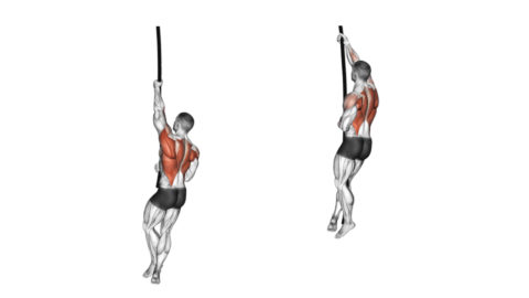 La montée de corde - Muscu Street et Crossfit