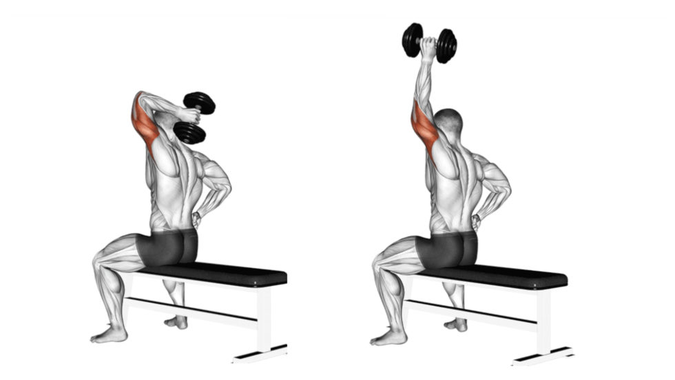 Extension verticale triceps à un bras - Muscu Street et Crossfit