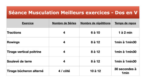 Les meilleurs exercices pour obtenir un dos en V