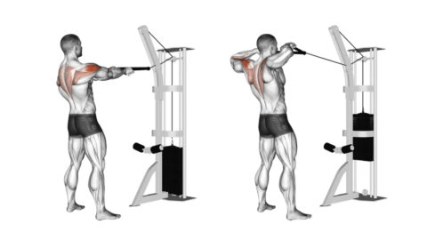 Le Face-Pull - Muscu Street et Crossfit