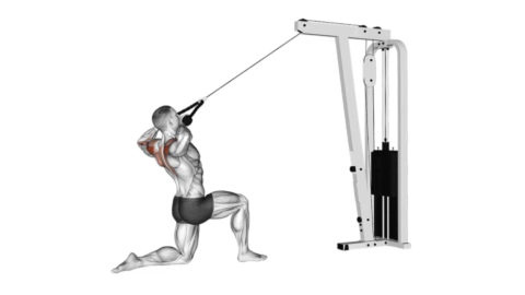 Le Face-Pull - Muscu Street et Crossfit