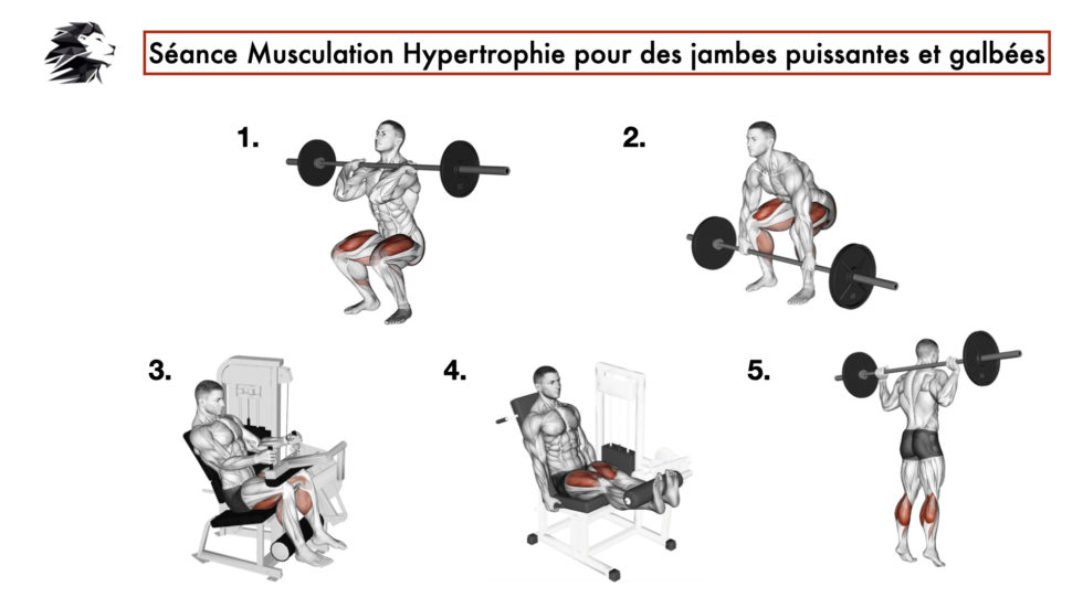 Séance musculation spéciale pour des jambes galbées
