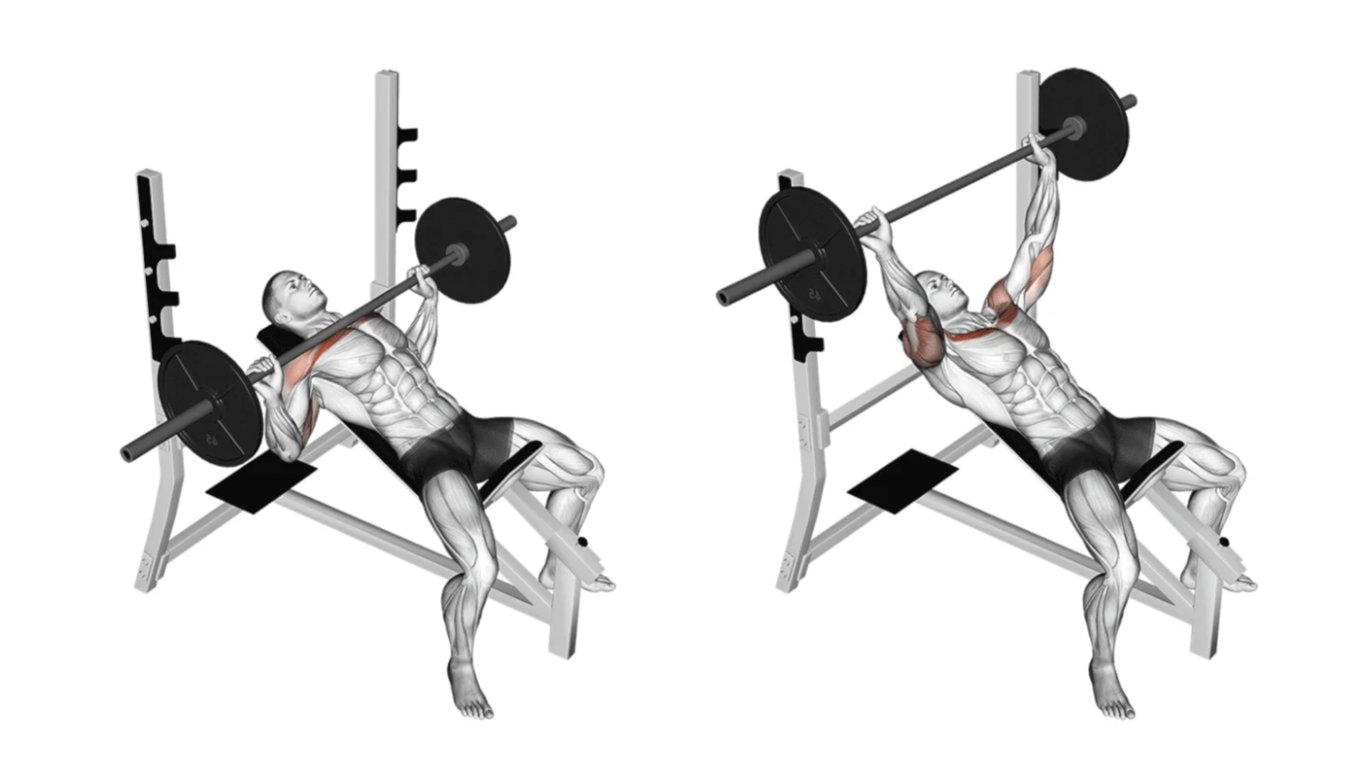 Le développé couché incliné - Muscu Street et Crossfit
