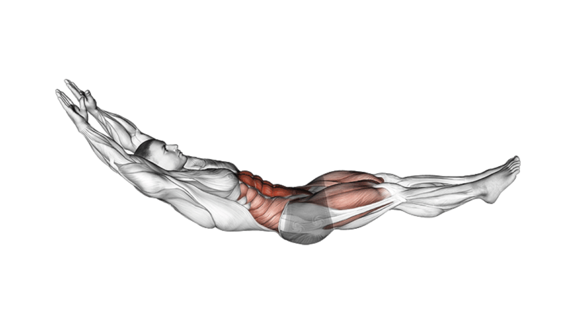 Position de Hollow - Muscu Street et Crossfit