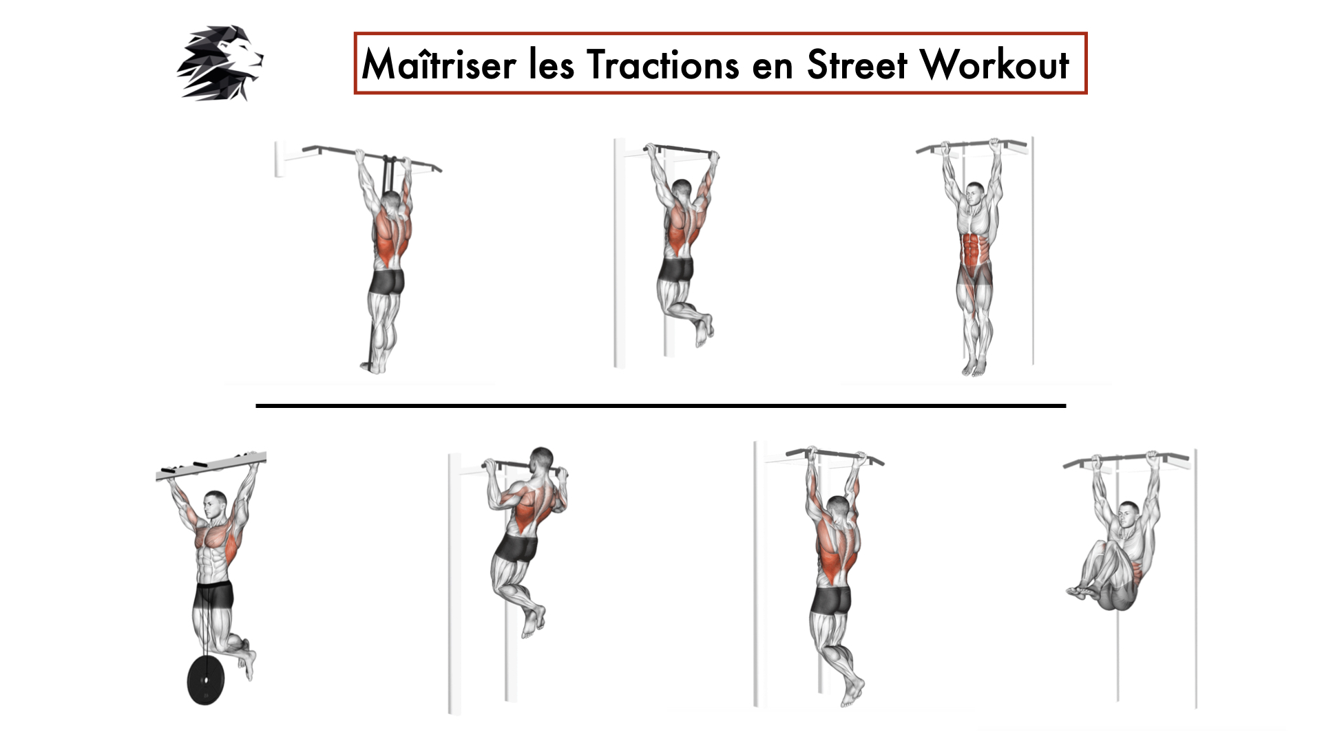 Maîtrisez les tractions en street workout - Muscu Street et Crossfit