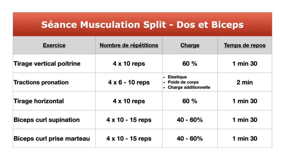 Séance Musculation Split Dos et Biceps - Muscu Street et Crossfit