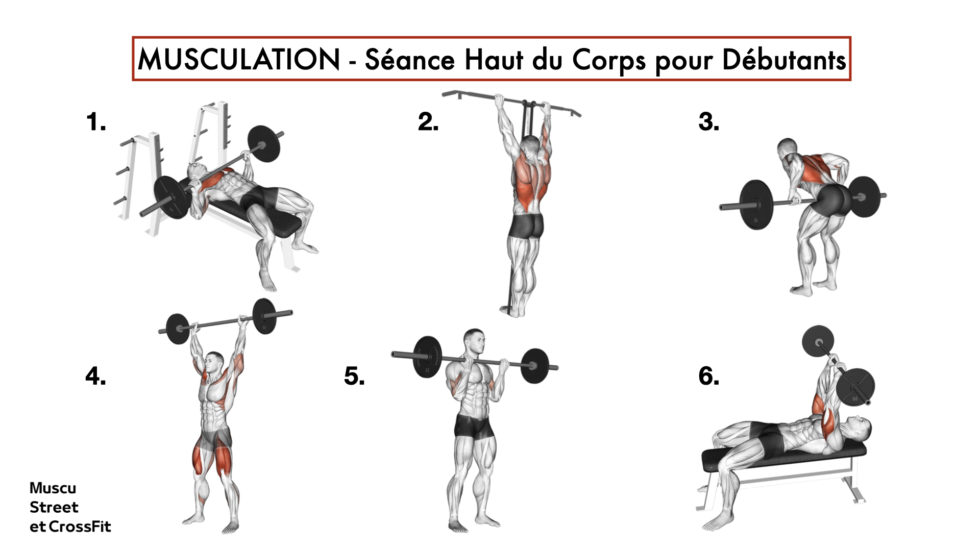 Séance Half-Body Haut du corps pour débutants - Muscu Street et Crossfit