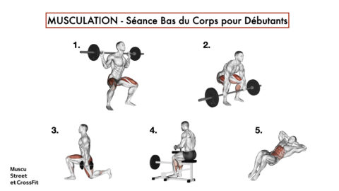 Séance Half-Body Bas du Corps pour Débutants - Muscu Street et Crossfit